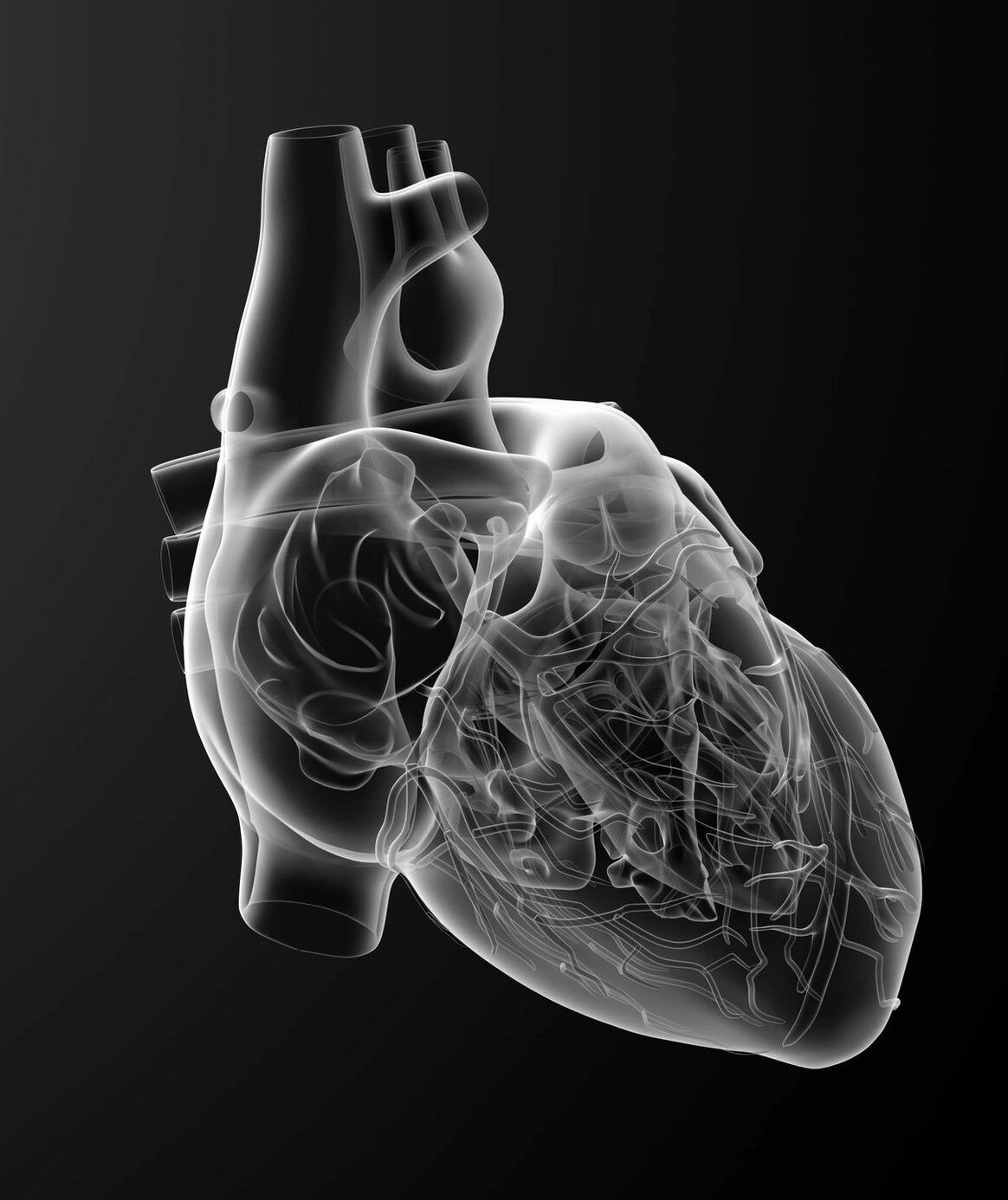 Cardiac Lyme Disease Signs and Symptoms